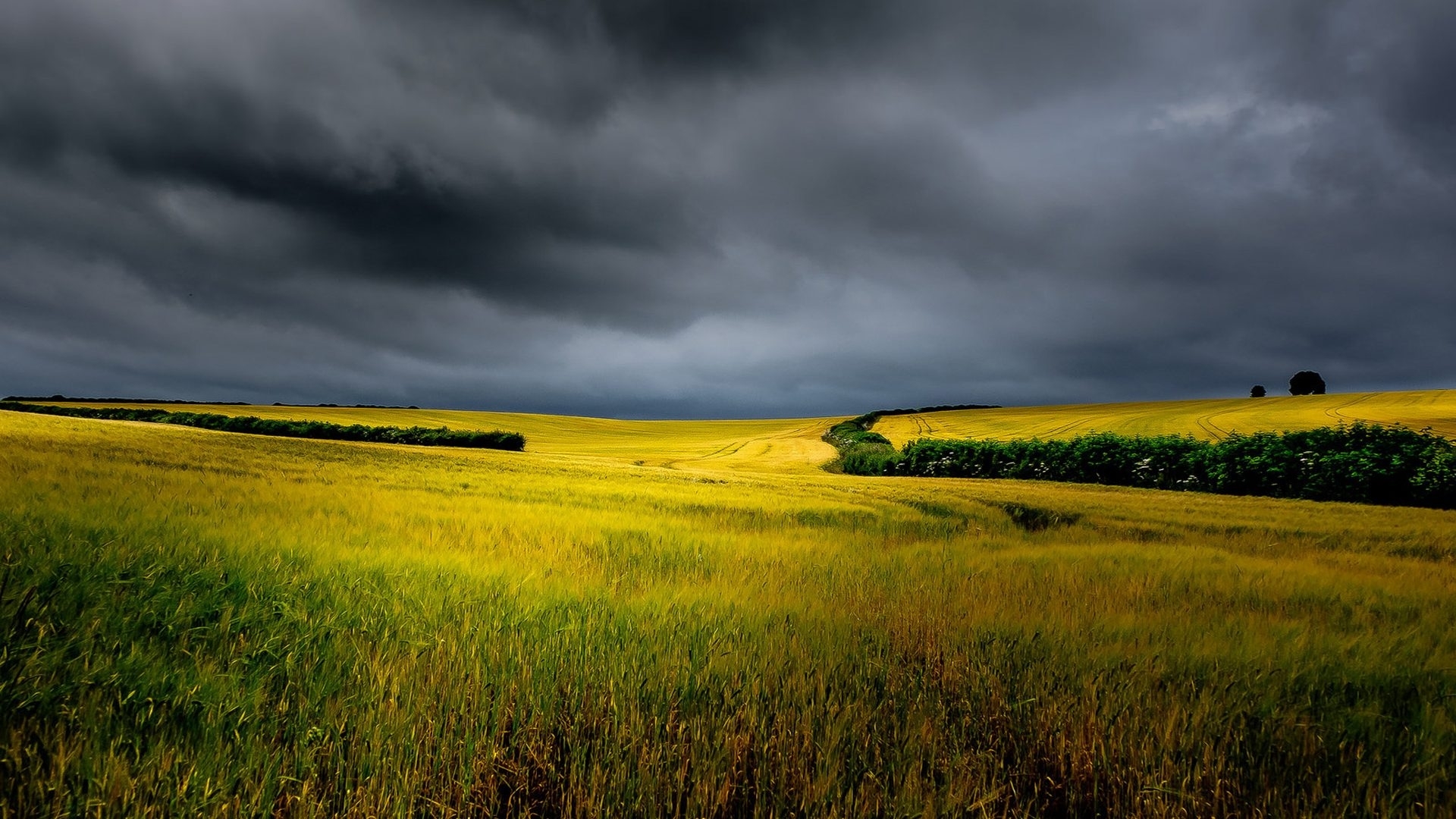 Dark Summer 1920x1080 Wallpapers - Wallpaper Cave