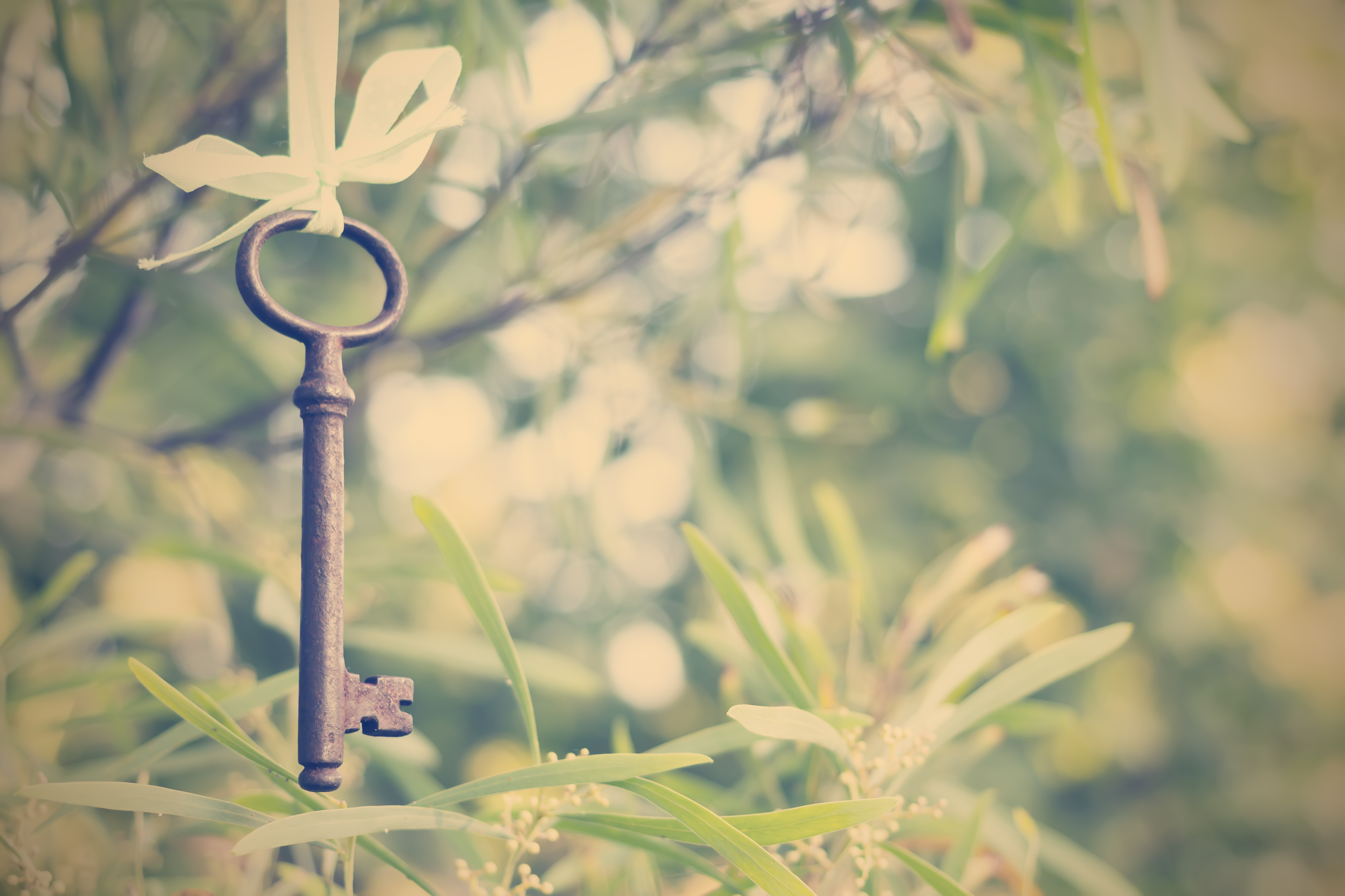 Vintage Spring Wallpapers - Wallpaper Cave