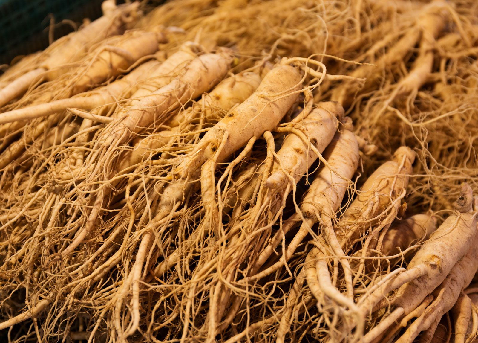 Ginseng Wallpapers - Wallpaper Cave