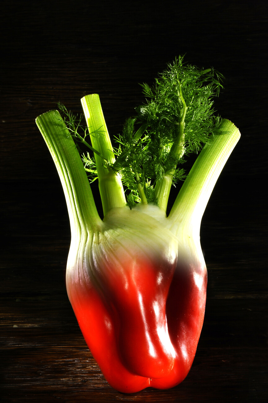 Fennel Wallpapers - Wallpaper Cave