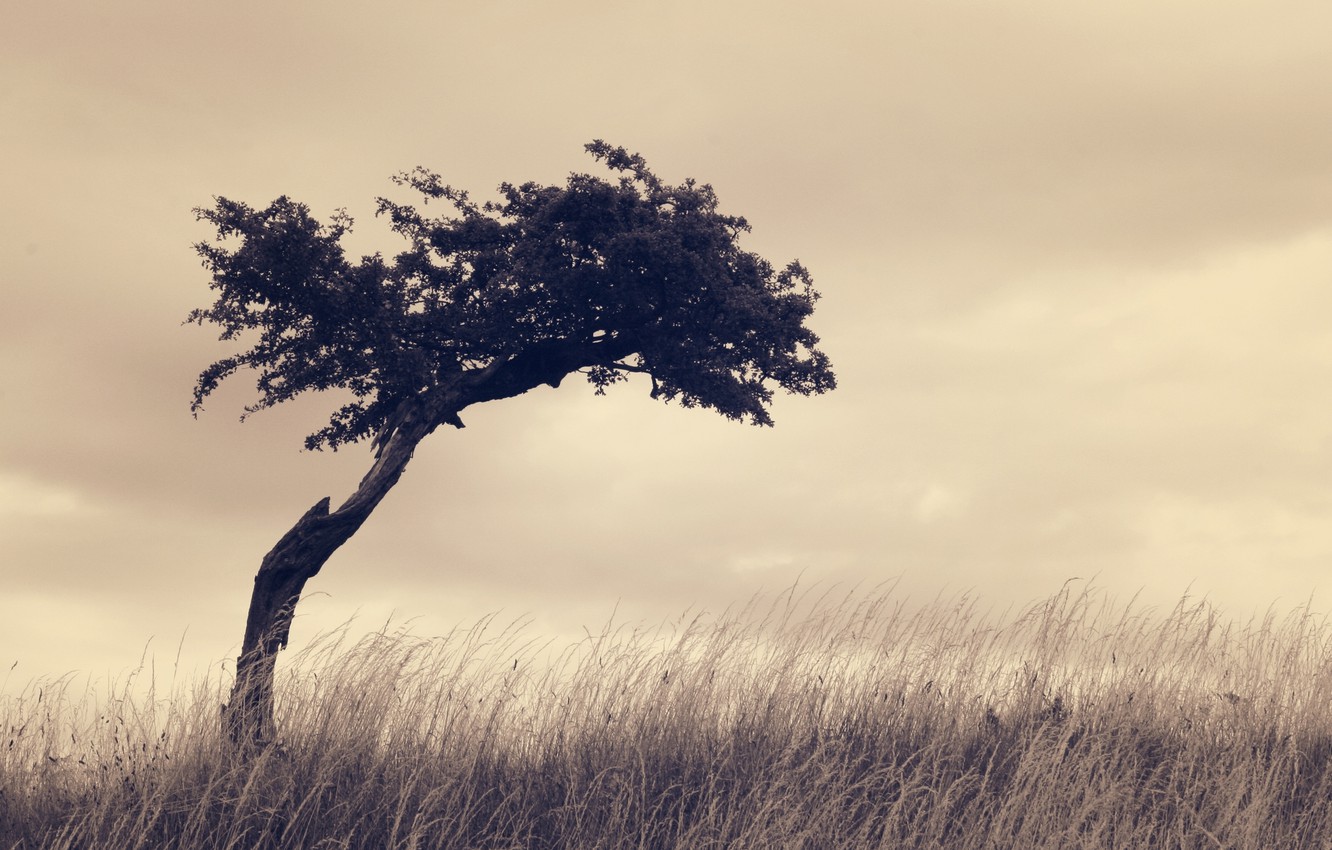 Retro Nature Wallpapers - Wallpaper Cave