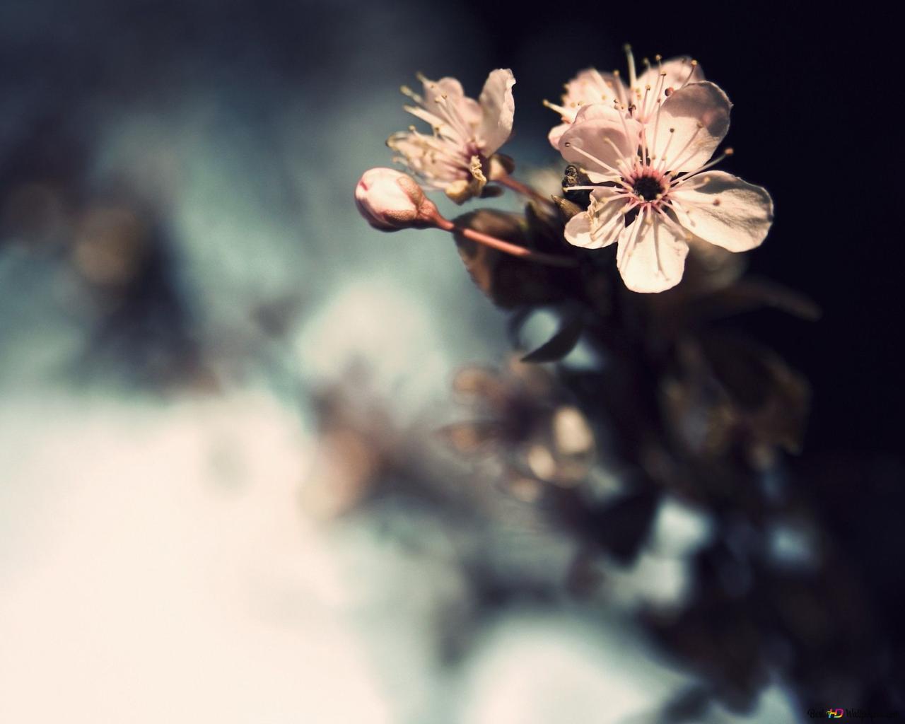 Retro Nature Wallpapers - Wallpaper Cave