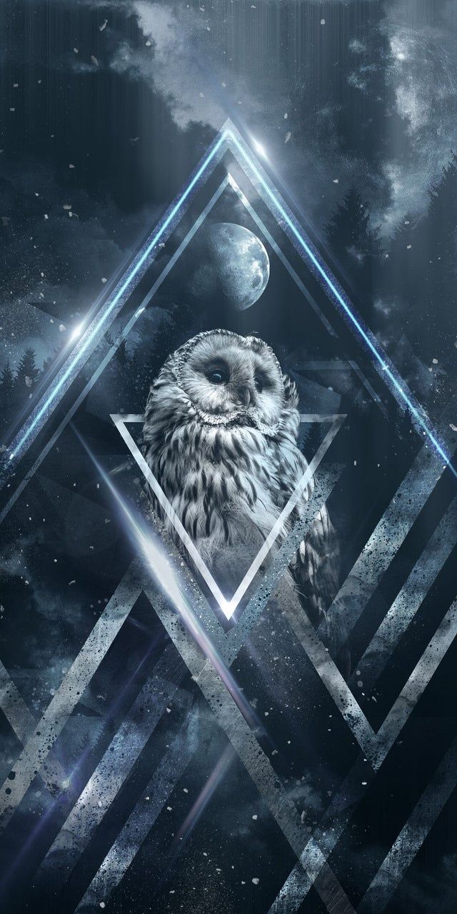 Owl Phone Wallpapers - Wallpaper Cave