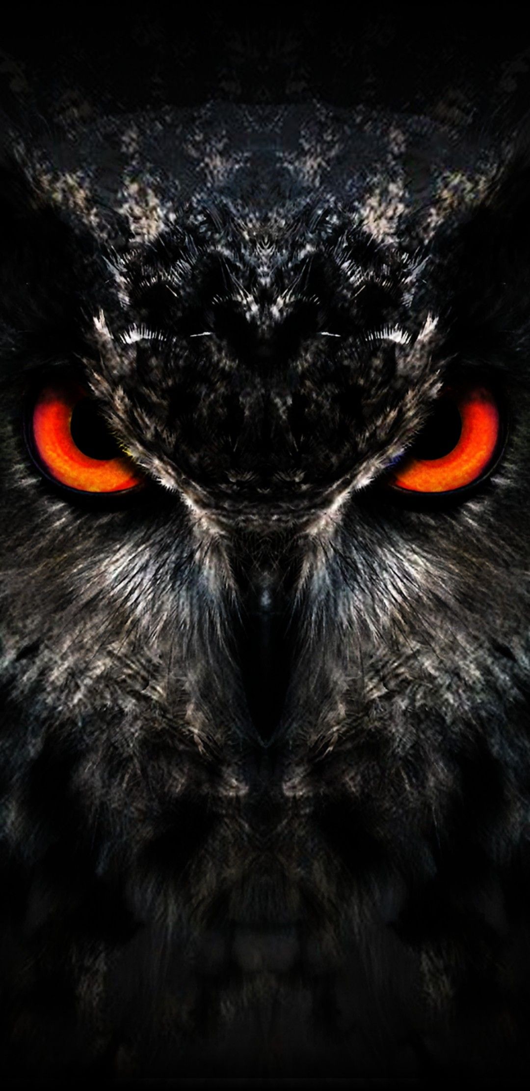 Owl Phone Wallpapers - Wallpaper Cave