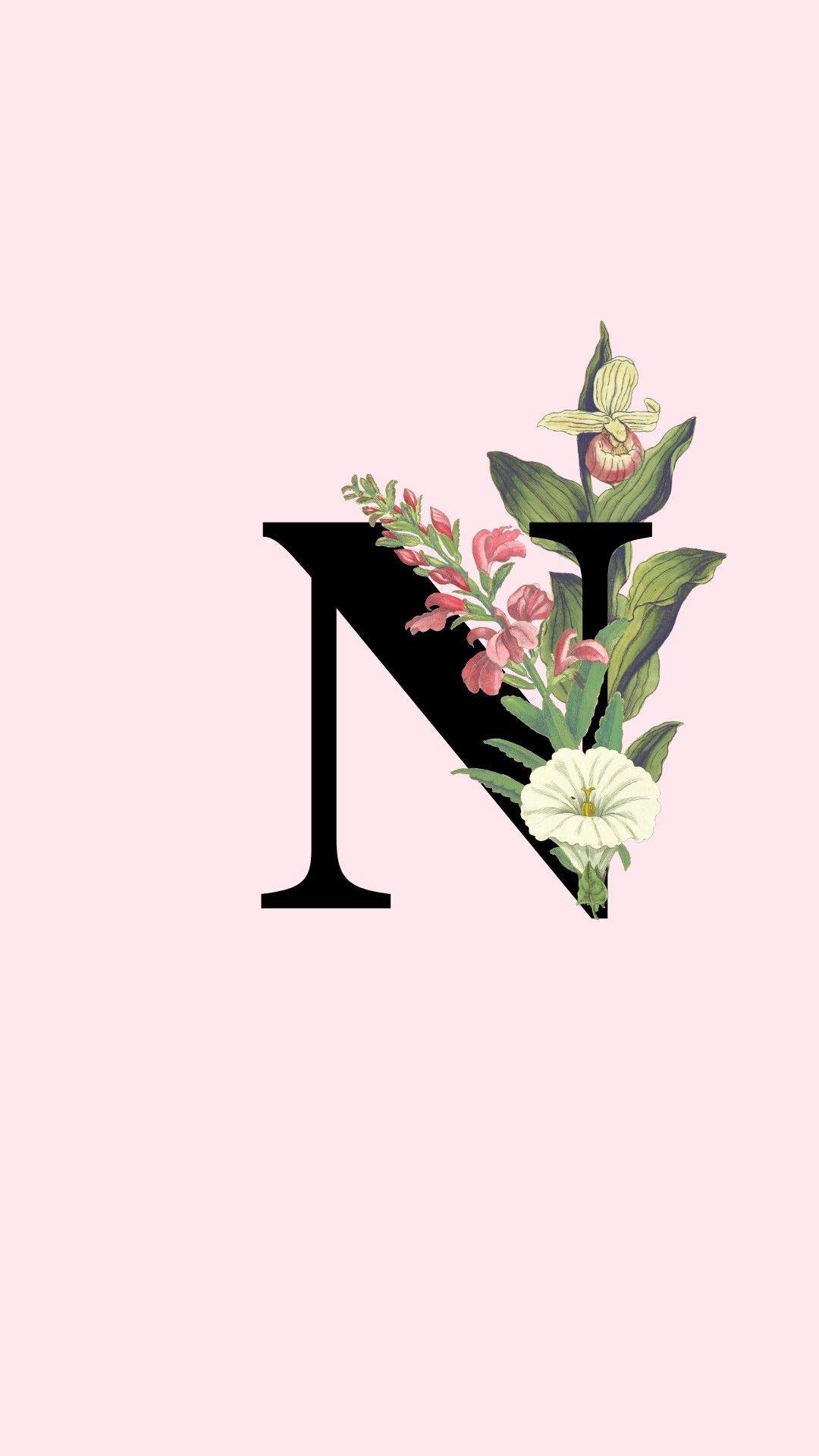 Cute Letter N Wallpapers - Wallpaper Cave