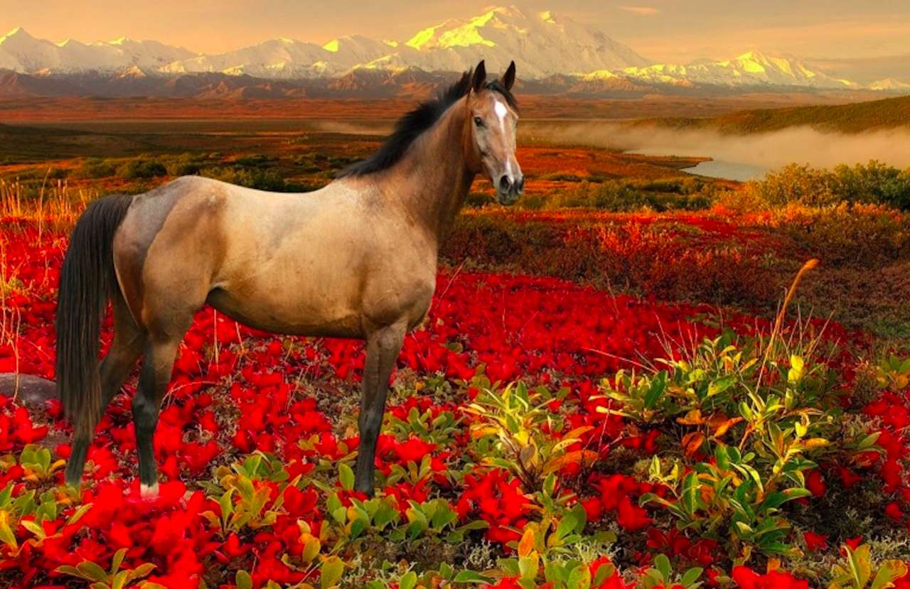 Springtime Horses Wallpapers - Wallpaper Cave