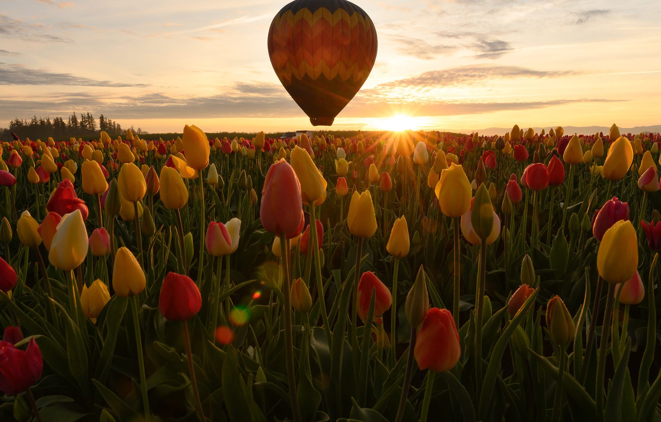 Spring Balloon Wallpapers - Wallpaper Cave