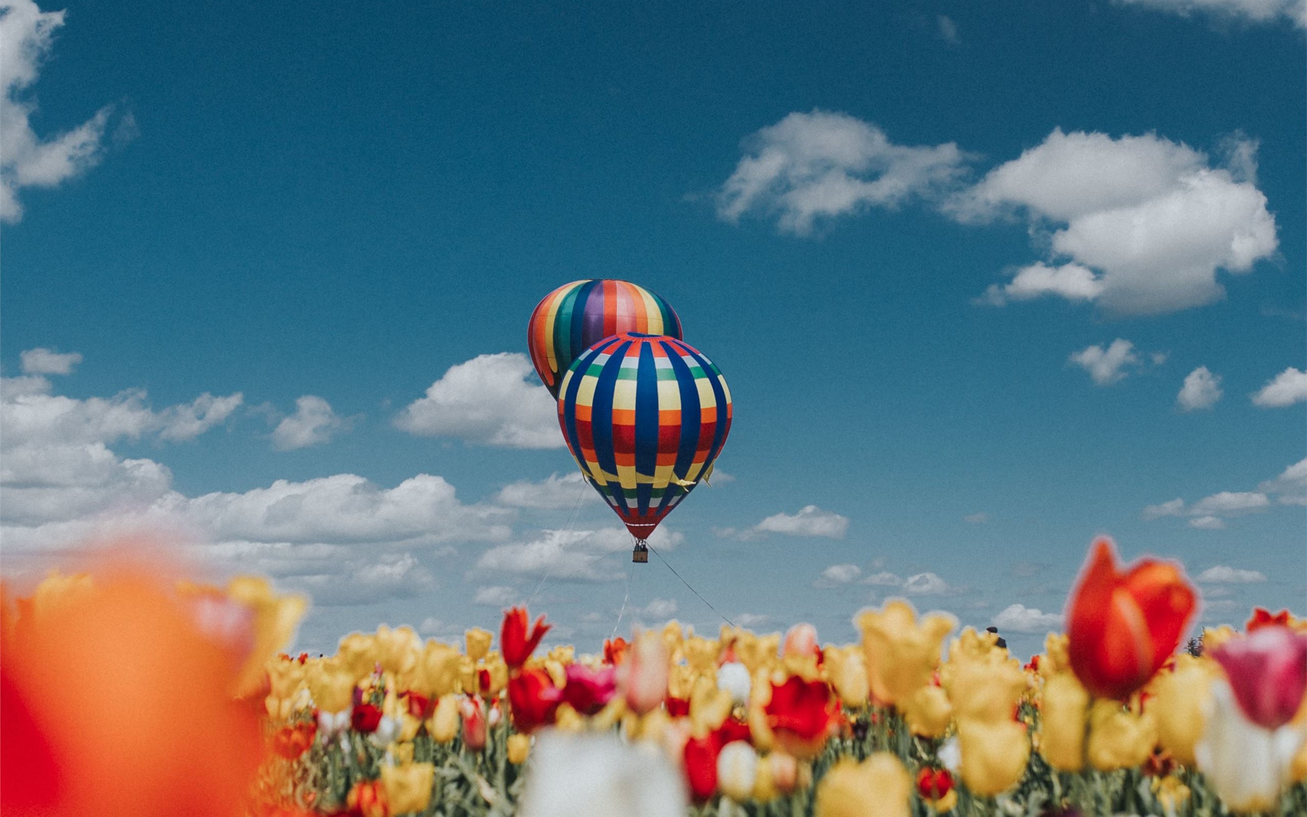 Spring Balloon Wallpapers - Wallpaper Cave