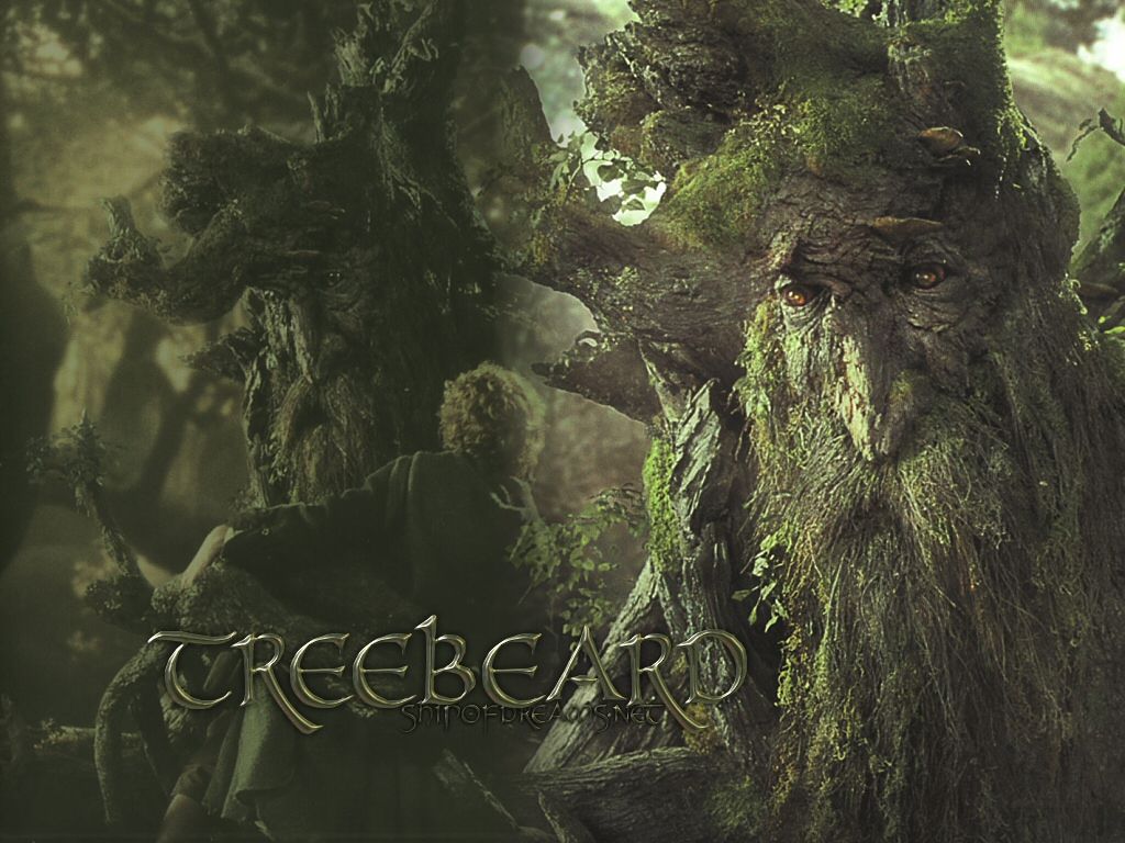 Treebeard Wallpapers - Wallpaper Cave