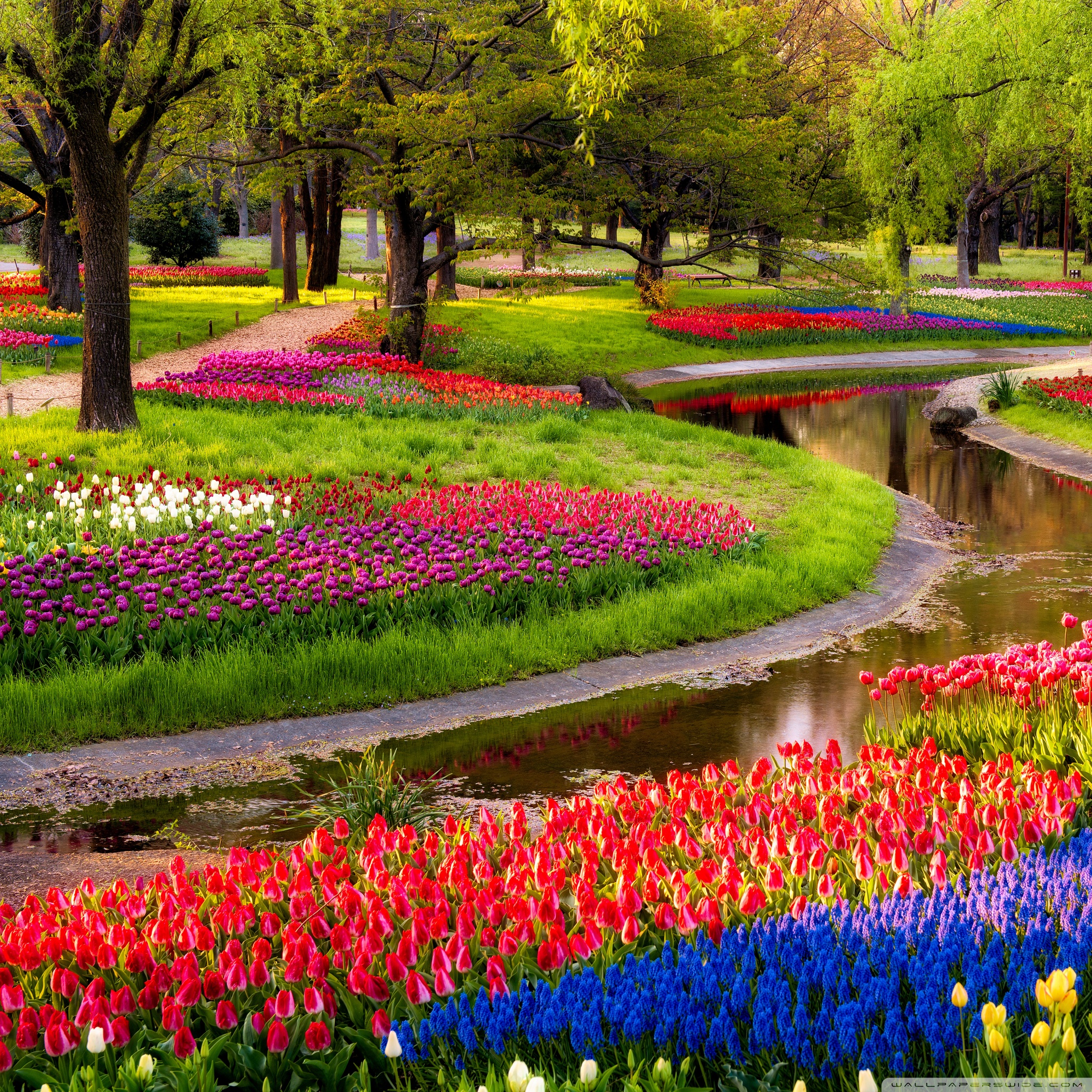 Springtime iPad Wallpapers - Wallpaper Cave