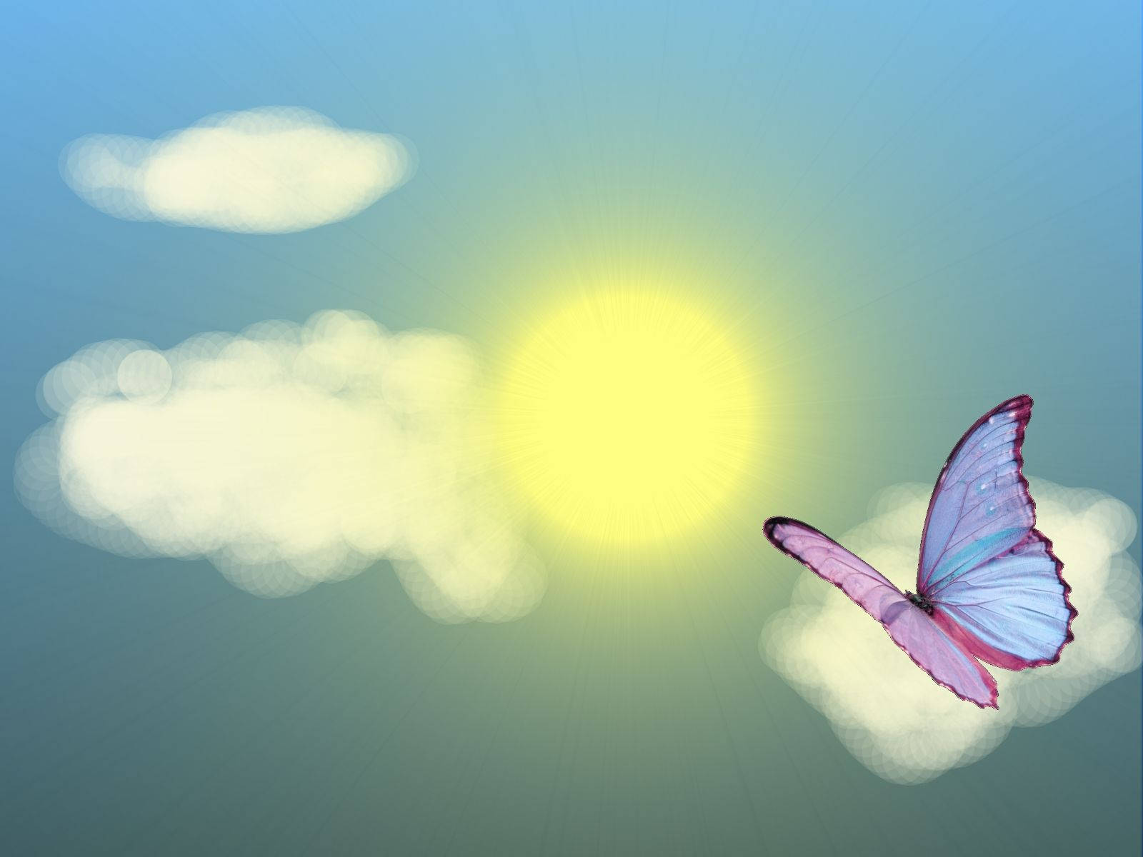 Summer Butterfly Wallpapers - Wallpaper Cave