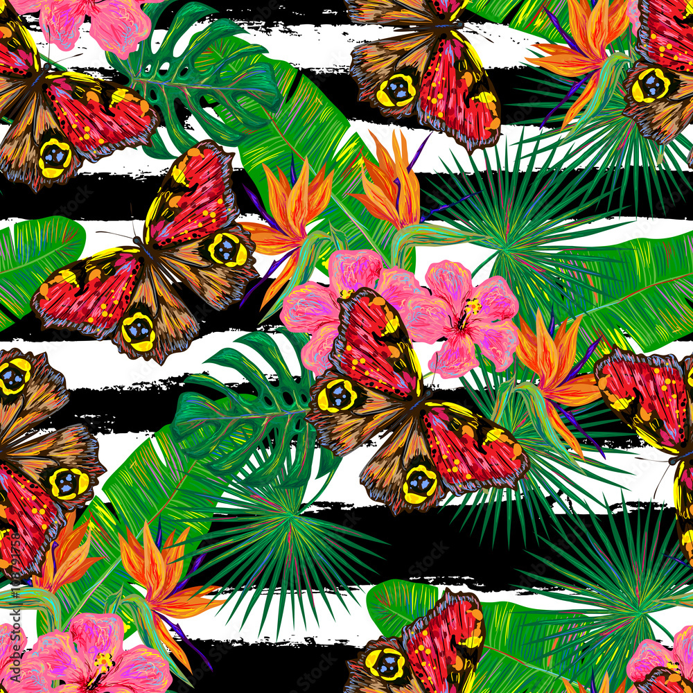 Summer Butterfly Wallpapers - Wallpaper Cave