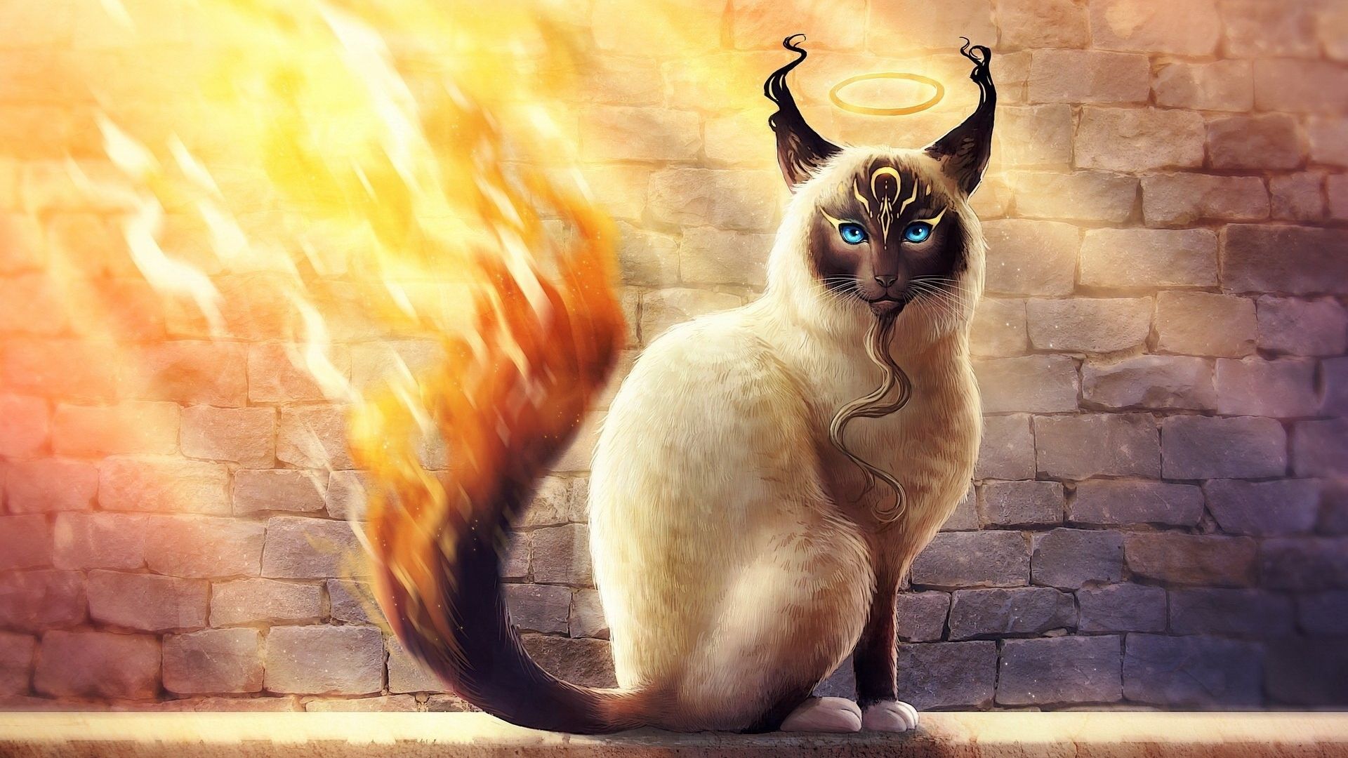 Cats Fantasy Wallpapers - Wallpaper Cave