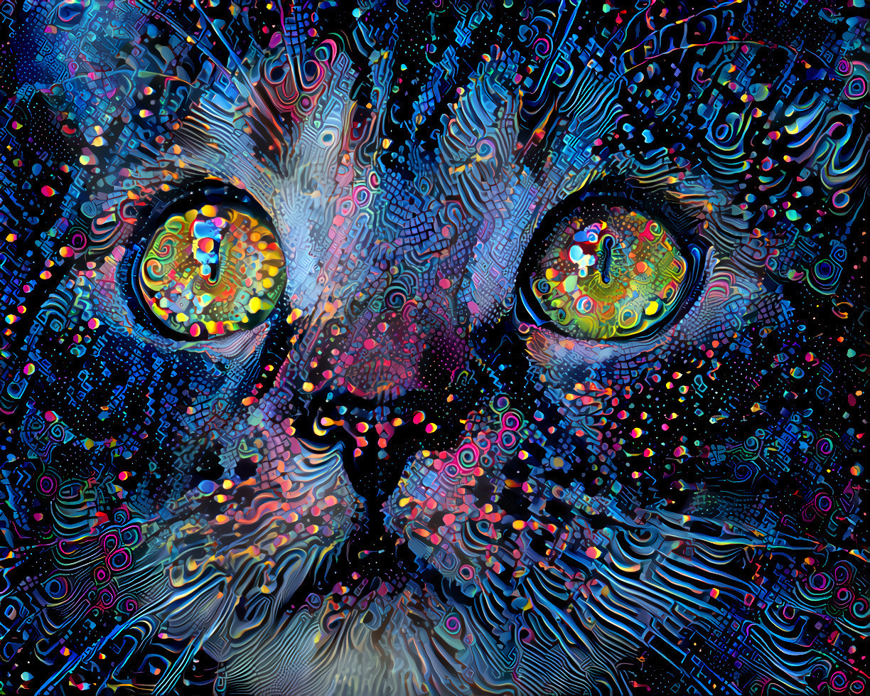 Cyber Cat Wallpapers - Wallpaper Cave