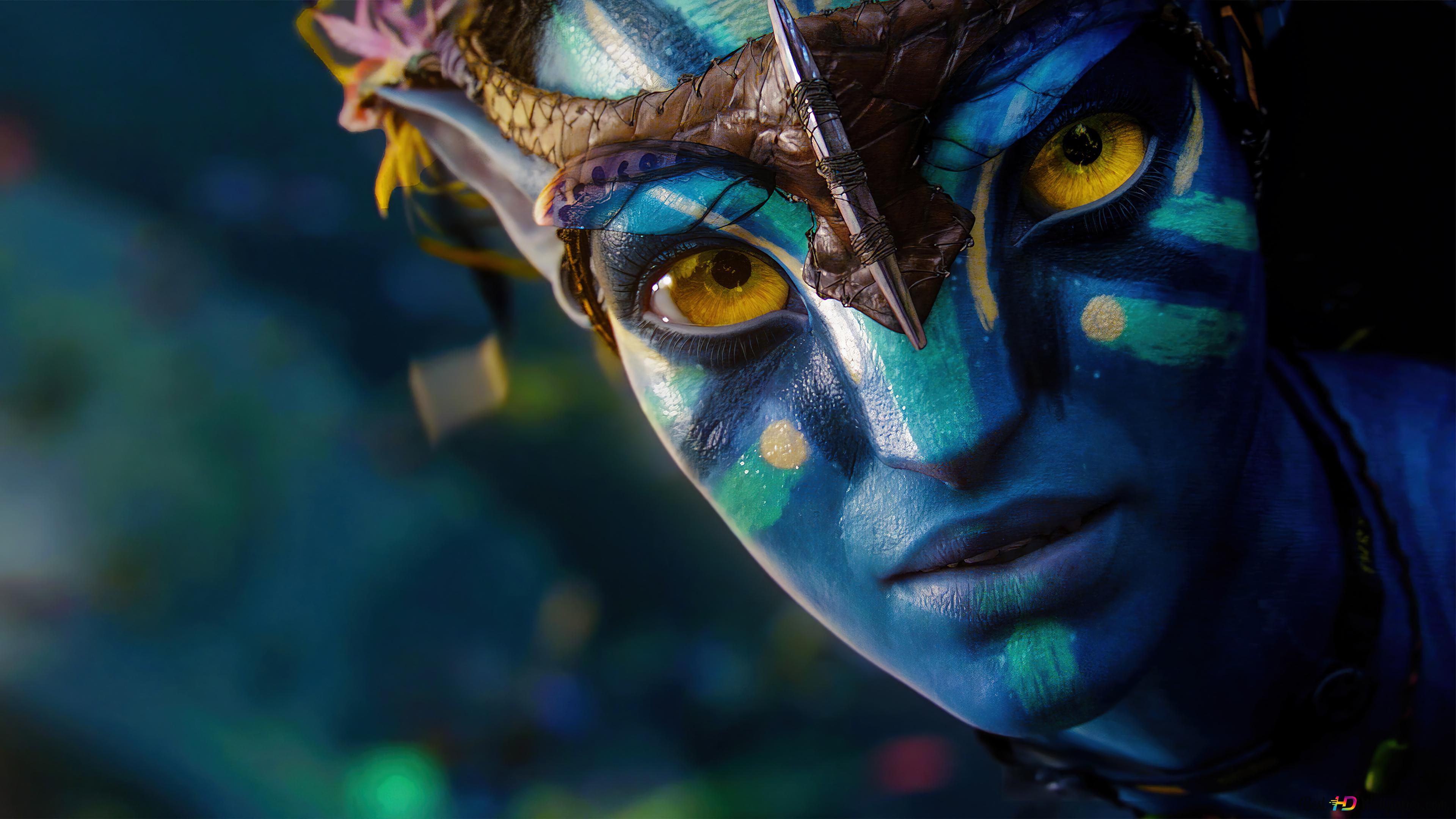 Avatar PC 4k Wallpapers - Wallpaper Cave