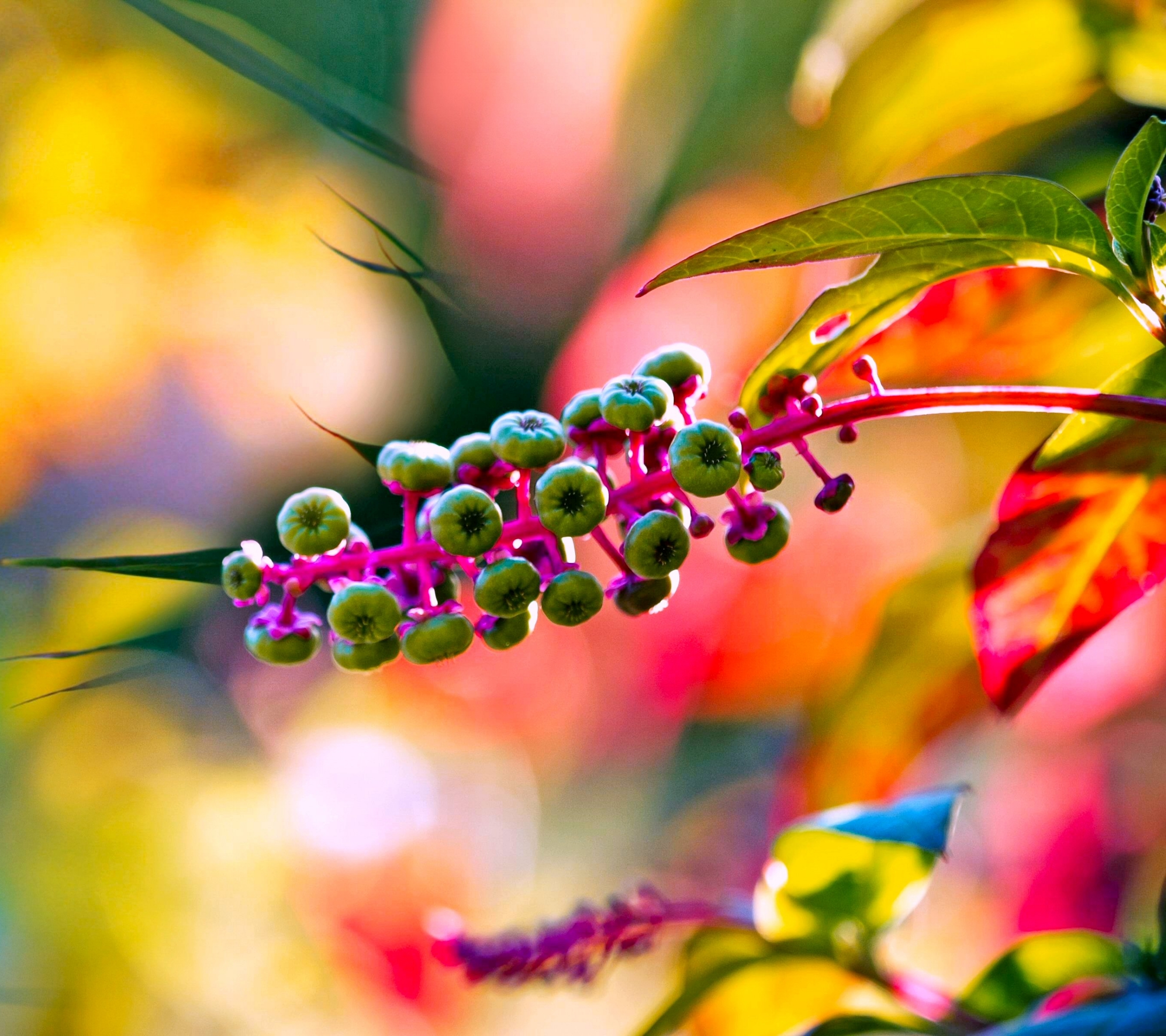 Colorful Spring Nature Wallpapers - Wallpaper Cave