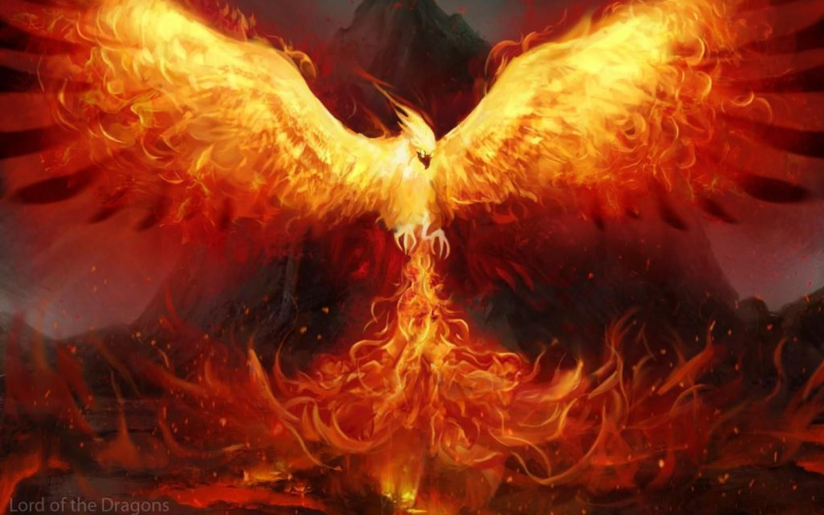 Phoenix Bird Rising Wallpapers - Wallpaper Cave