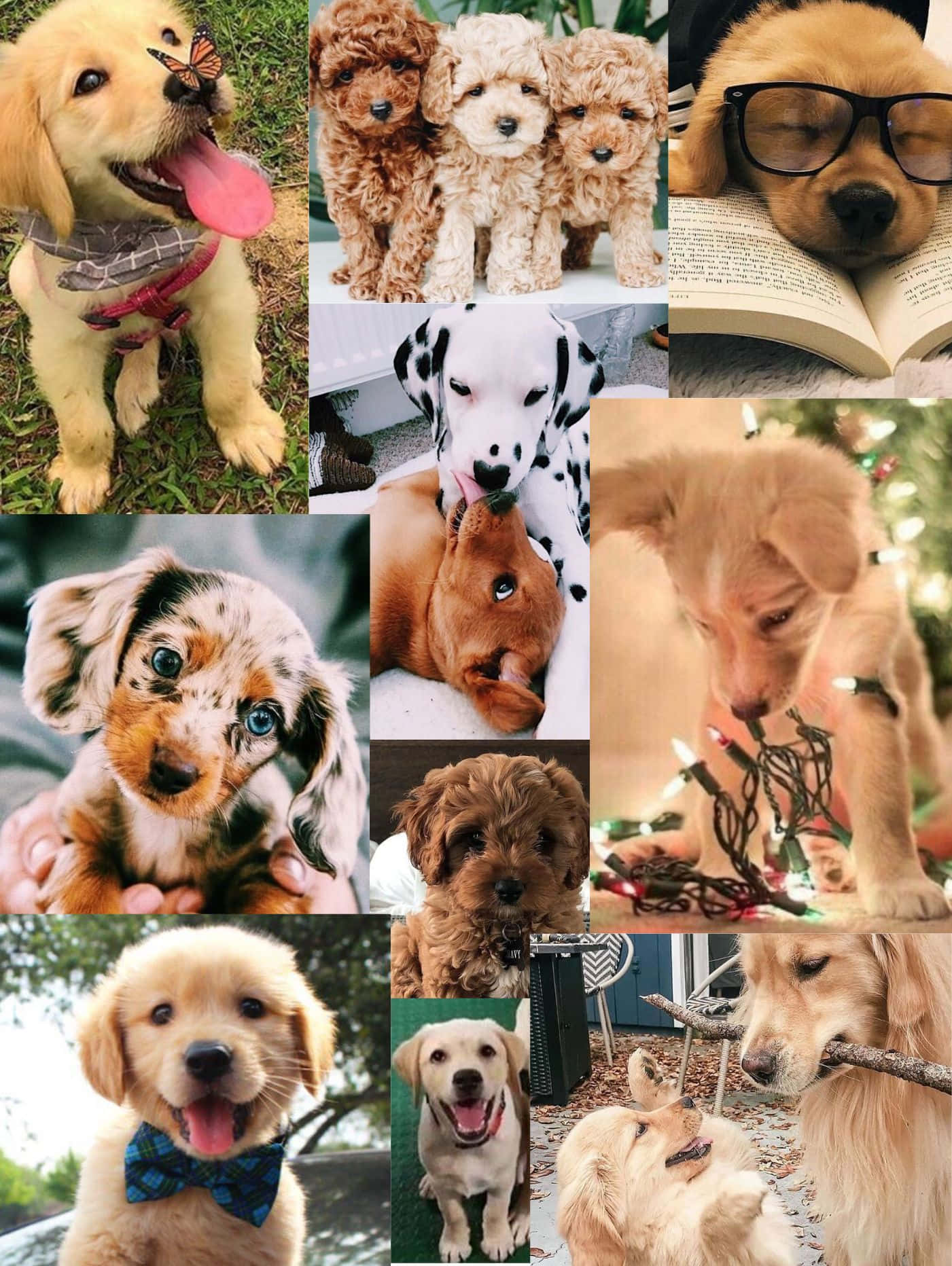 Dogs Collage Wallpapers - Wallpaper Cave