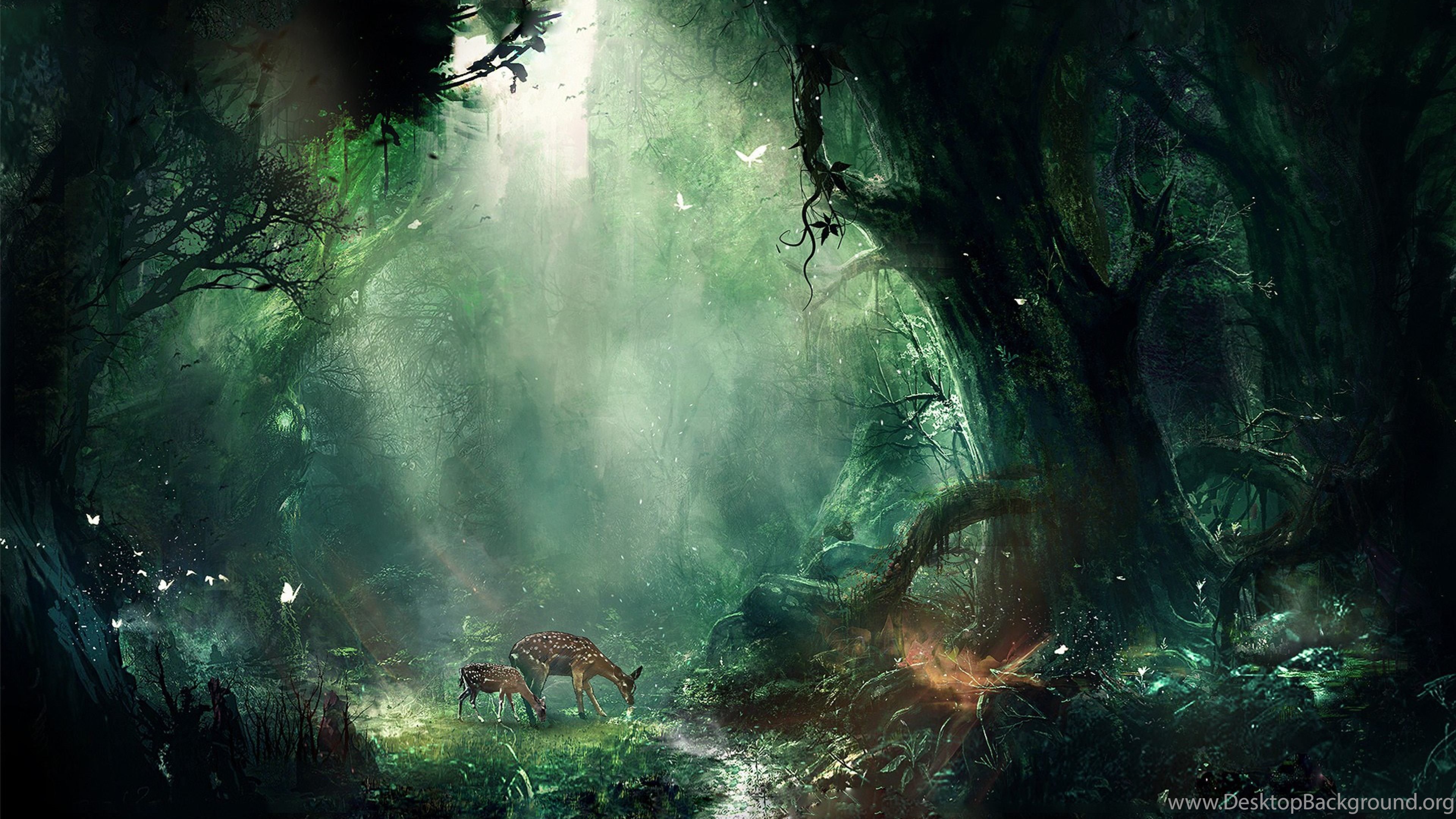 Forest 8k Wallpapers - Wallpaper Cave
