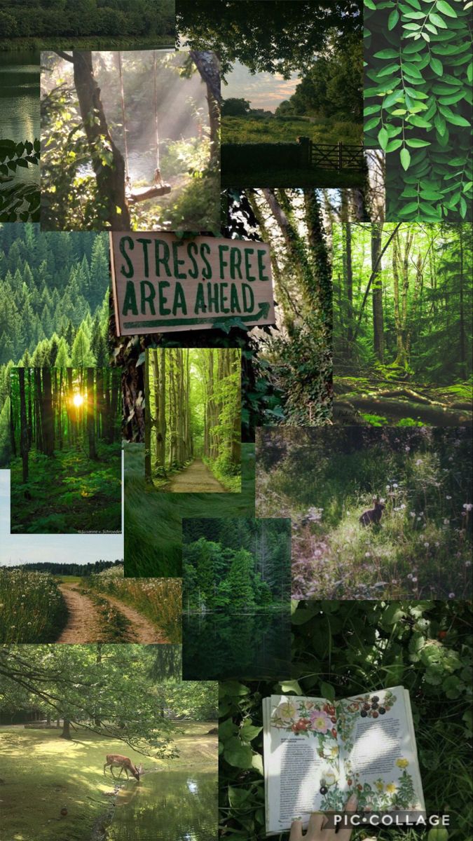 Nature Collage Wallpapers - Wallpaper Cave