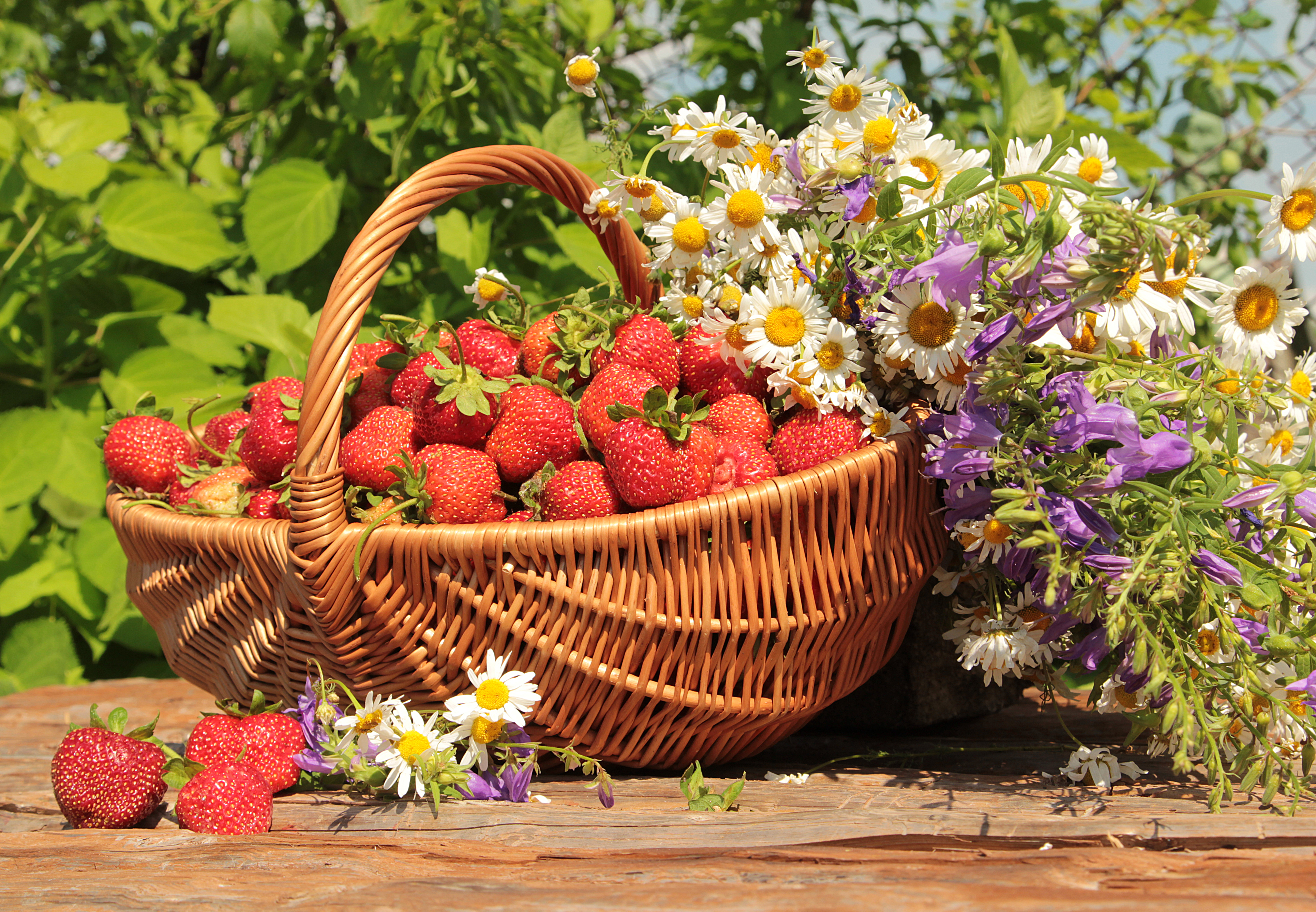 Summer Basket Wallpapers - Wallpaper Cave