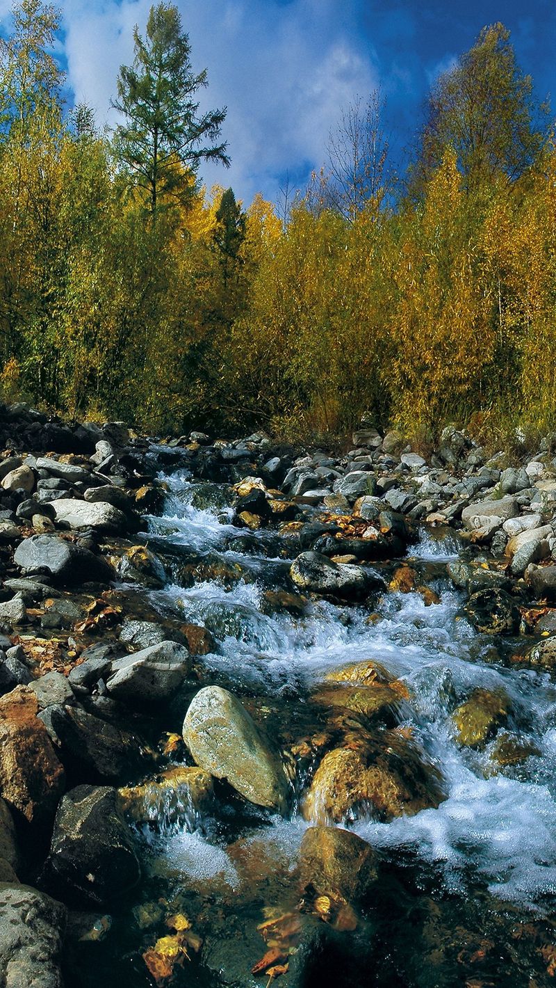 River Summer Wallpapers - Wallpaper Cave