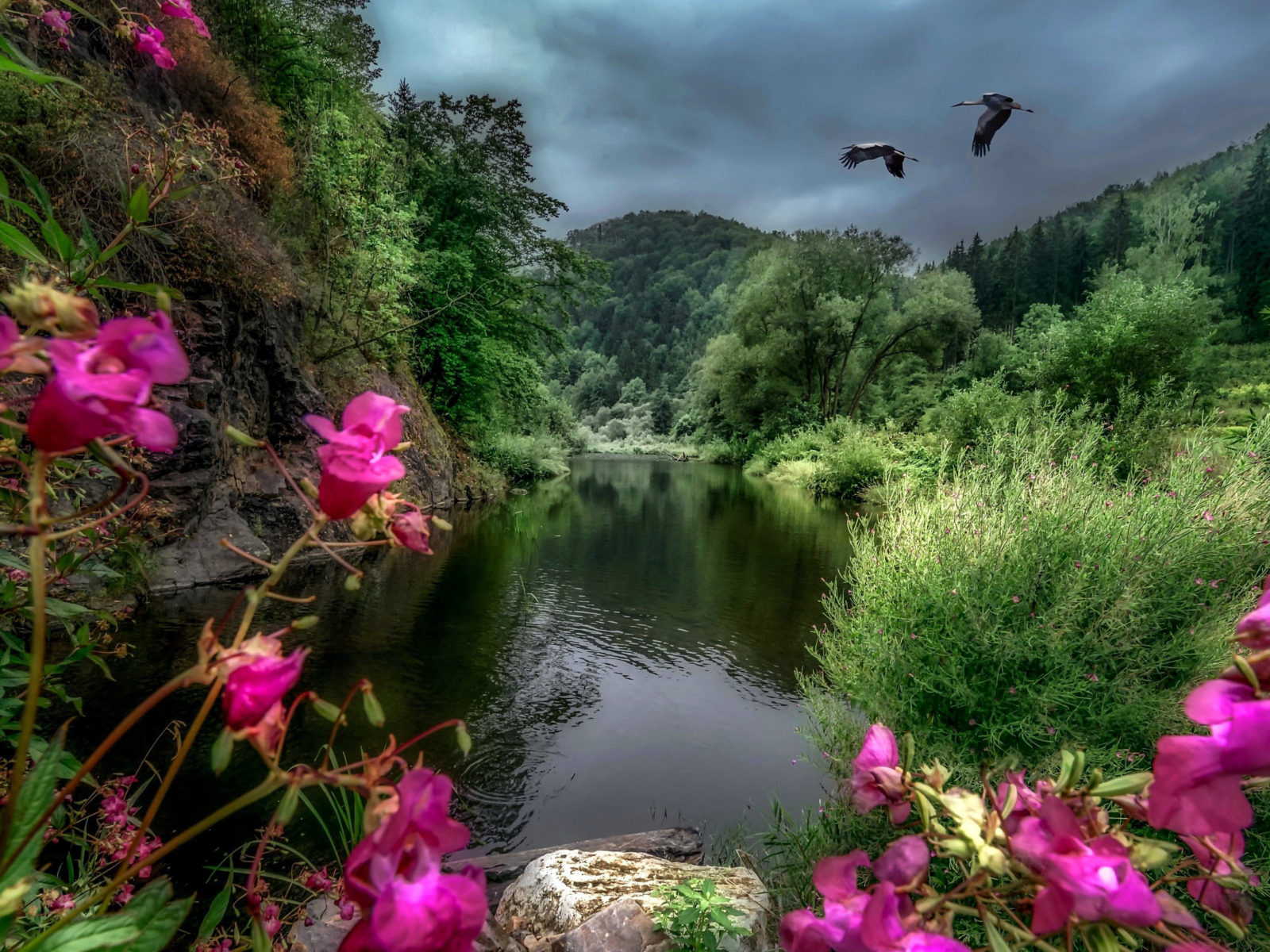 River Summer Wallpapers - Wallpaper Cave