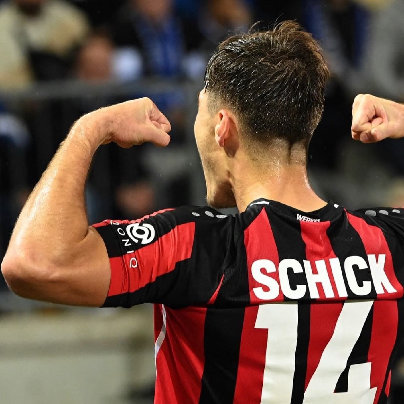 Patrik Schick Wallpapers - Wallpaper Cave