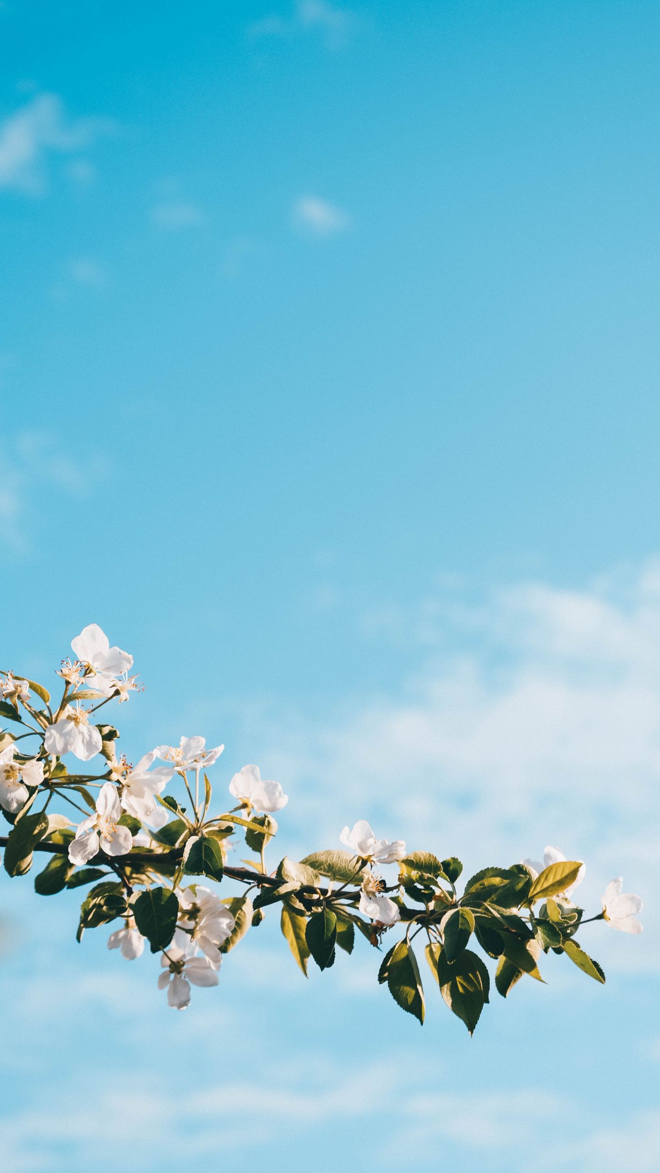 Spring Sky Wallpapers - Wallpaper Cave