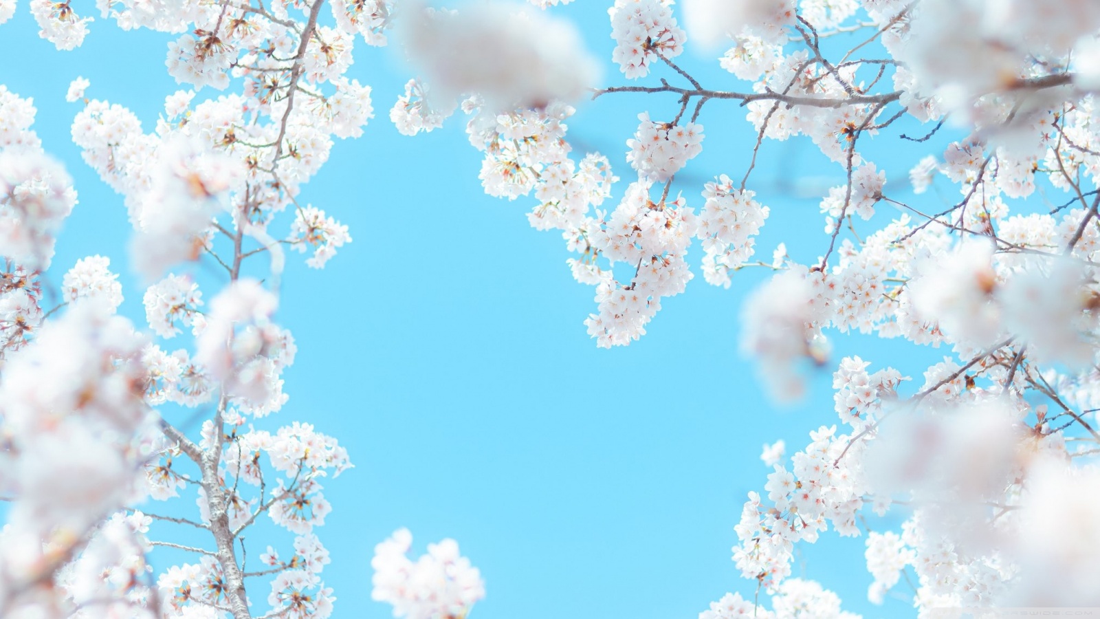 Spring Sky Wallpapers - Wallpaper Cave