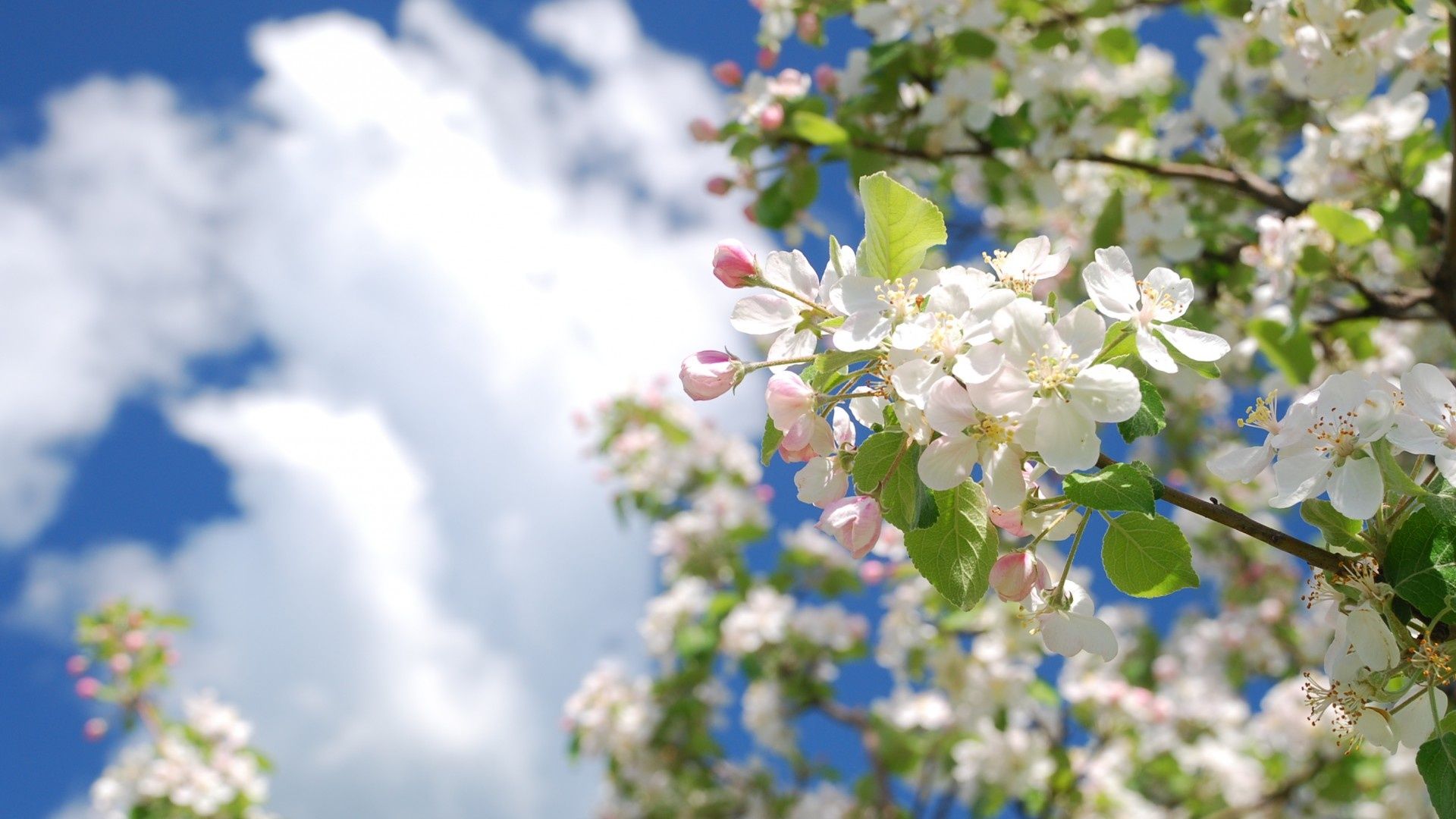 Spring Sky Wallpapers - Wallpaper Cave
