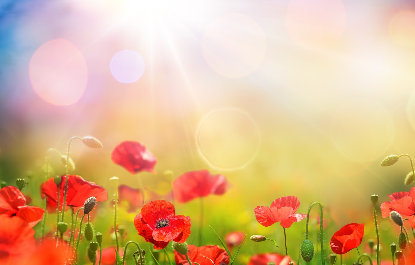 Spring Sky Wallpapers - Wallpaper Cave