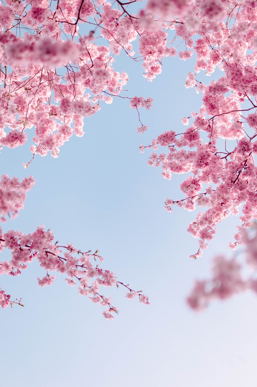 Spring Sky Wallpapers - Wallpaper Cave