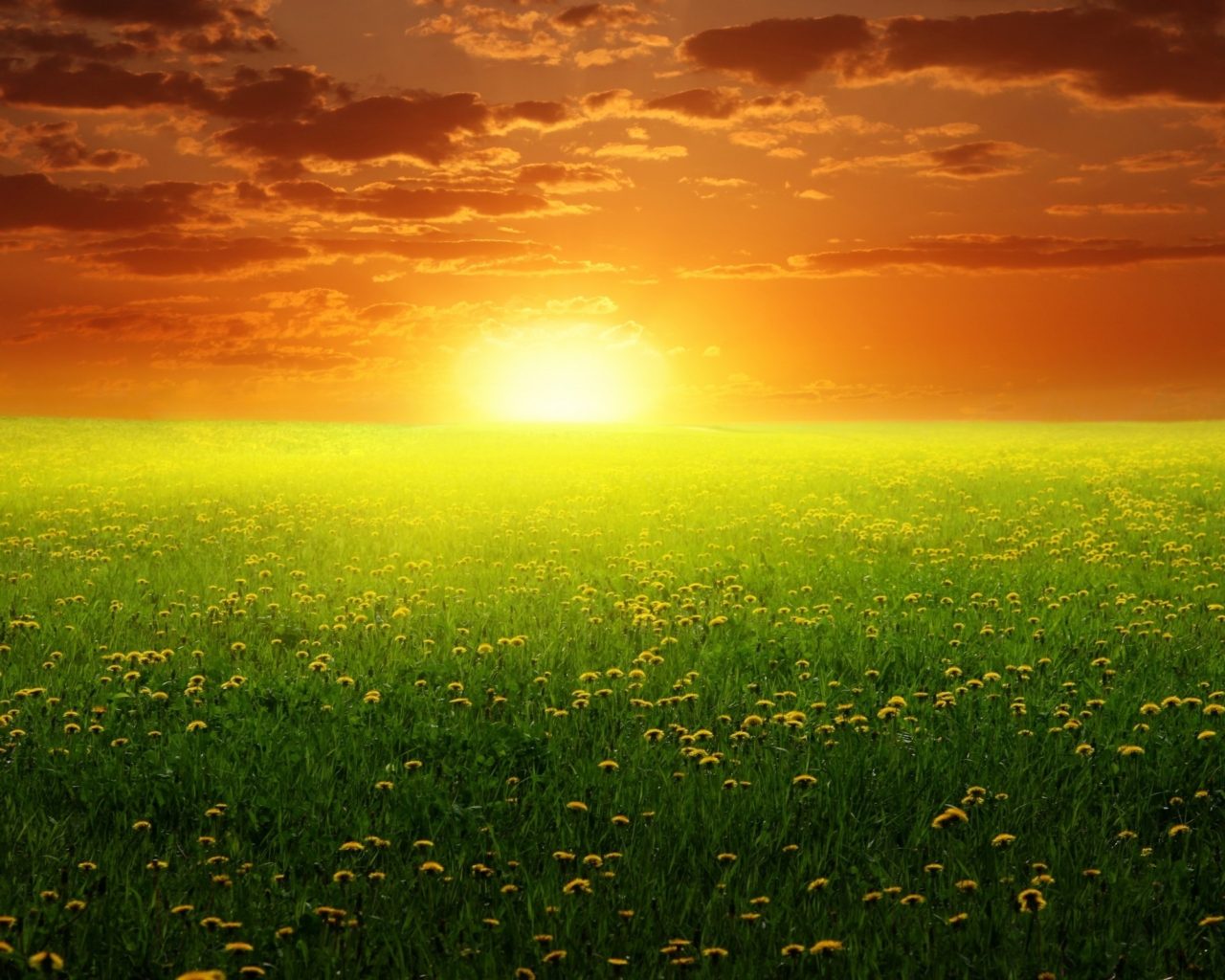 Beautiful Spring Sunset Wallpapers - Wallpaper Cave