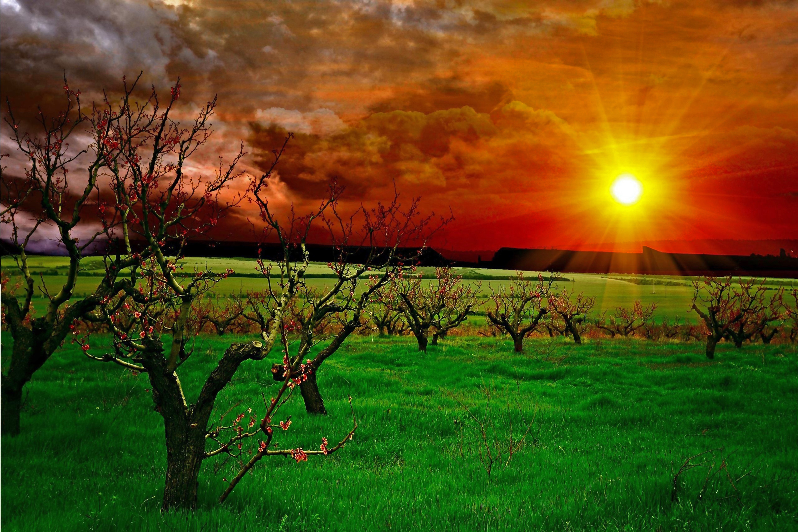 Beautiful Spring Sunset Wallpapers - Wallpaper Cave