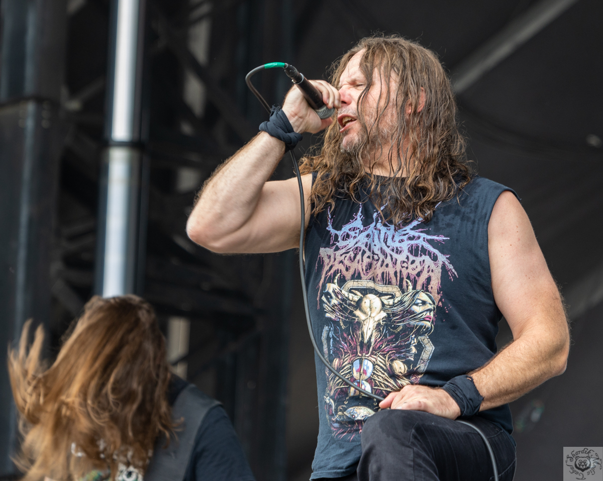 Unearth Wallpapers - Wallpaper Cave