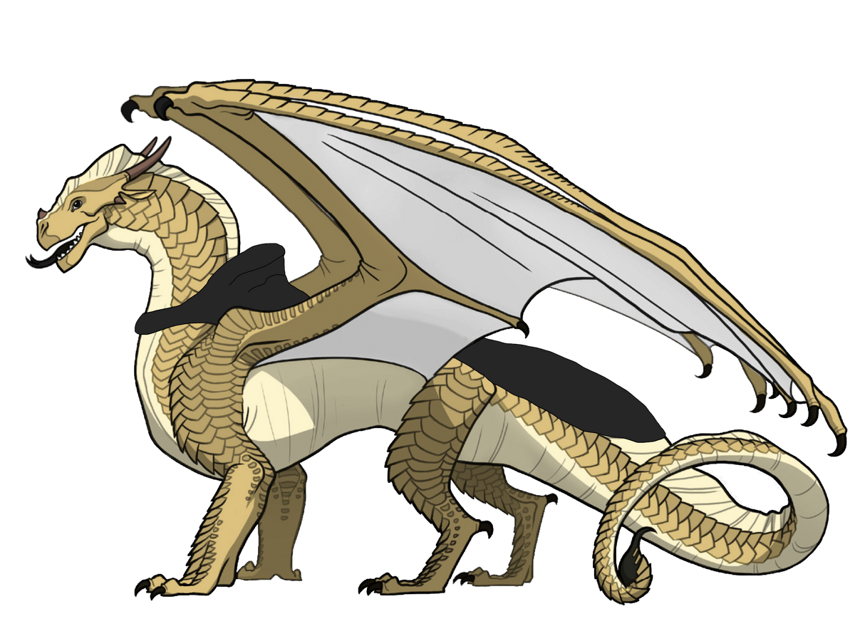 SandWings Wallpapers - Wallpaper Cave