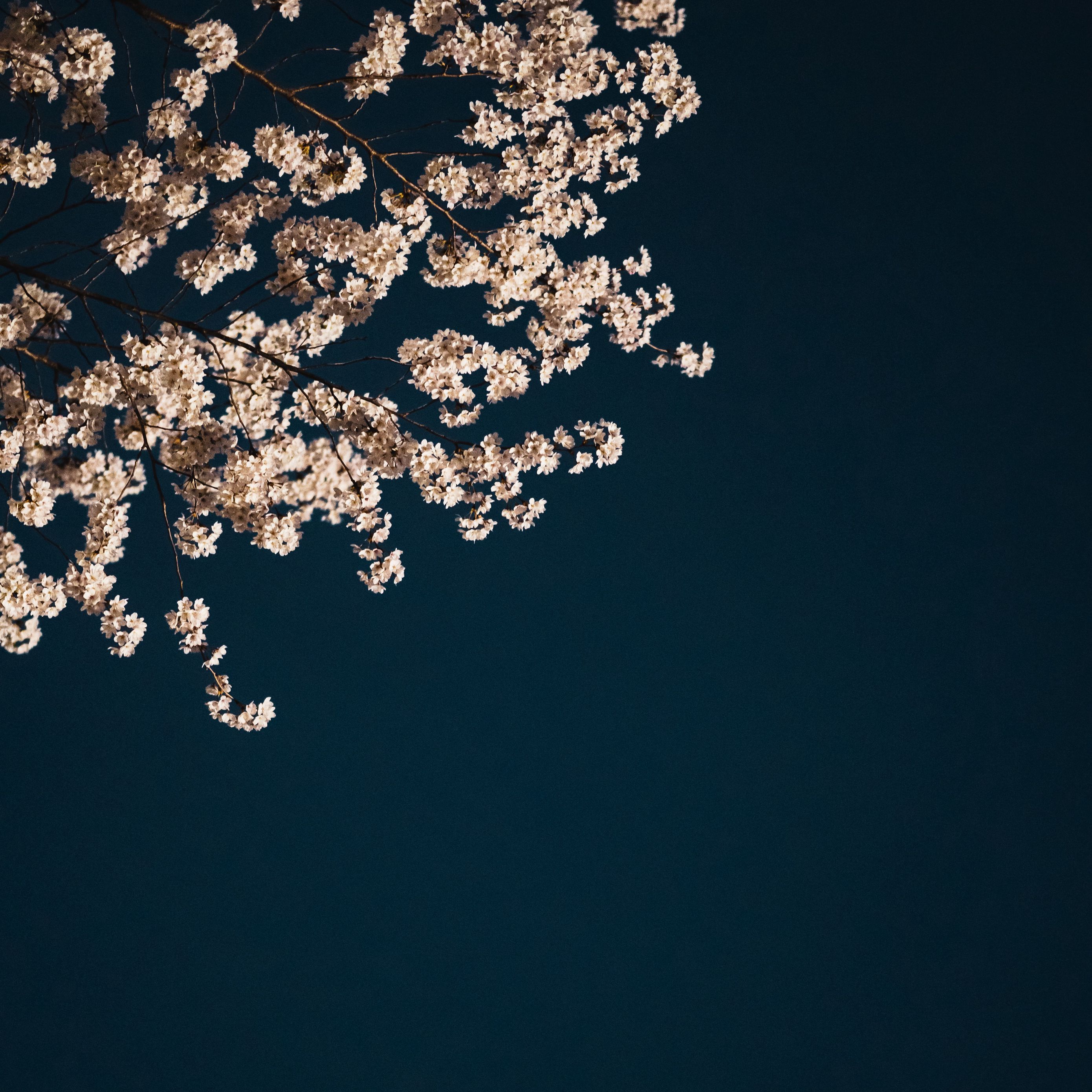 Aesthetic iPad Mini Wallpapers - Wallpaper Cave