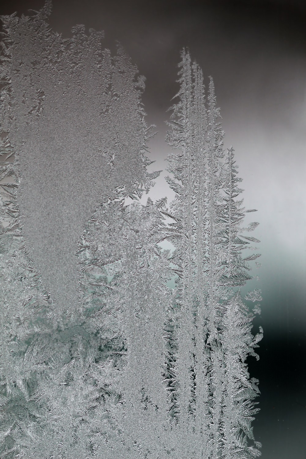 Frosted Window Wallpaper