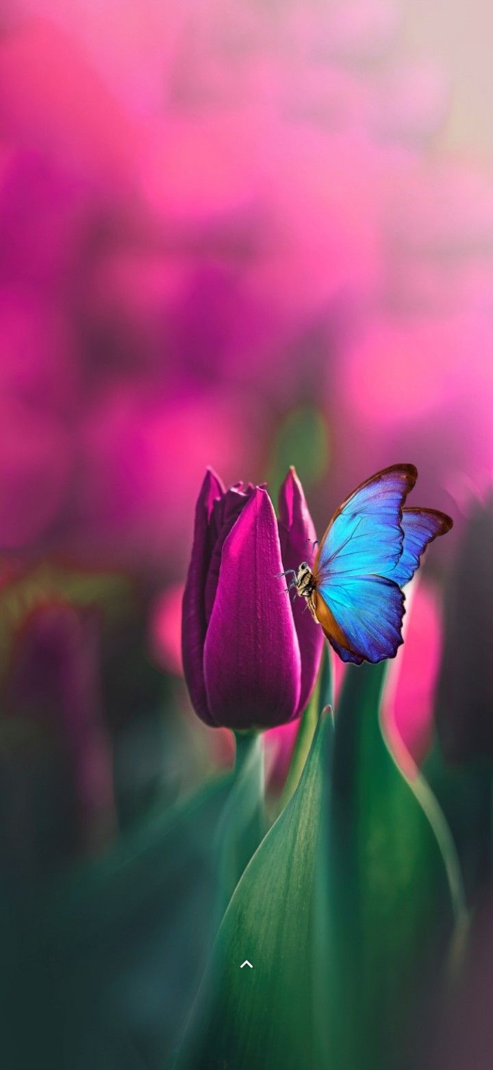 Beautiful Things Wallpapers - Wallpaper Cave