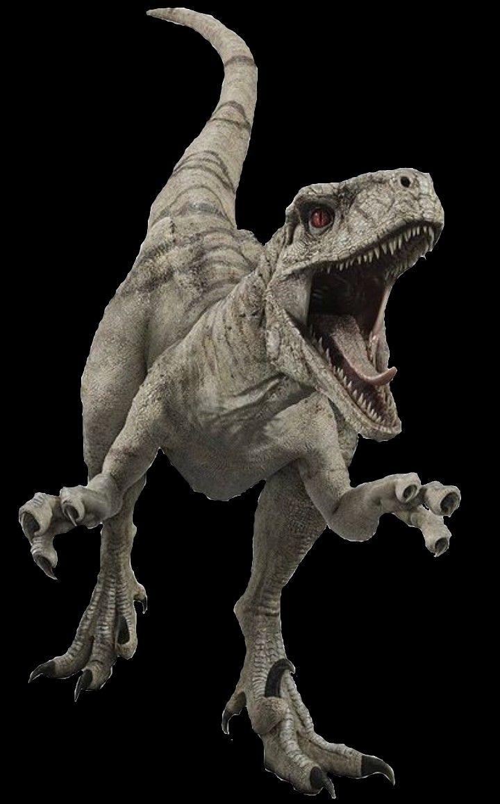 Atrociraptor Wallpapers - Wallpaper Cave