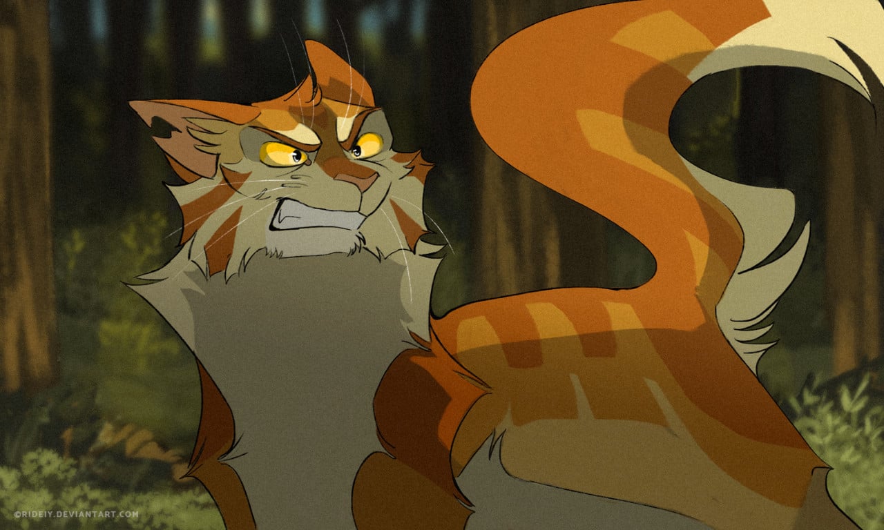 Lionblaze Wallpapers - Wallpaper Cave