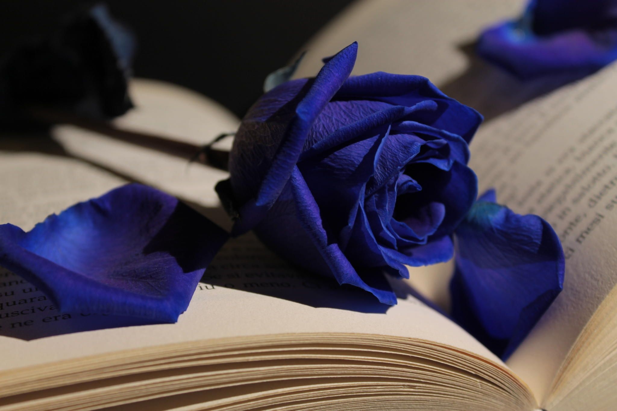Aesthetic Blue Books Wallpapers - Wallpaper Cave