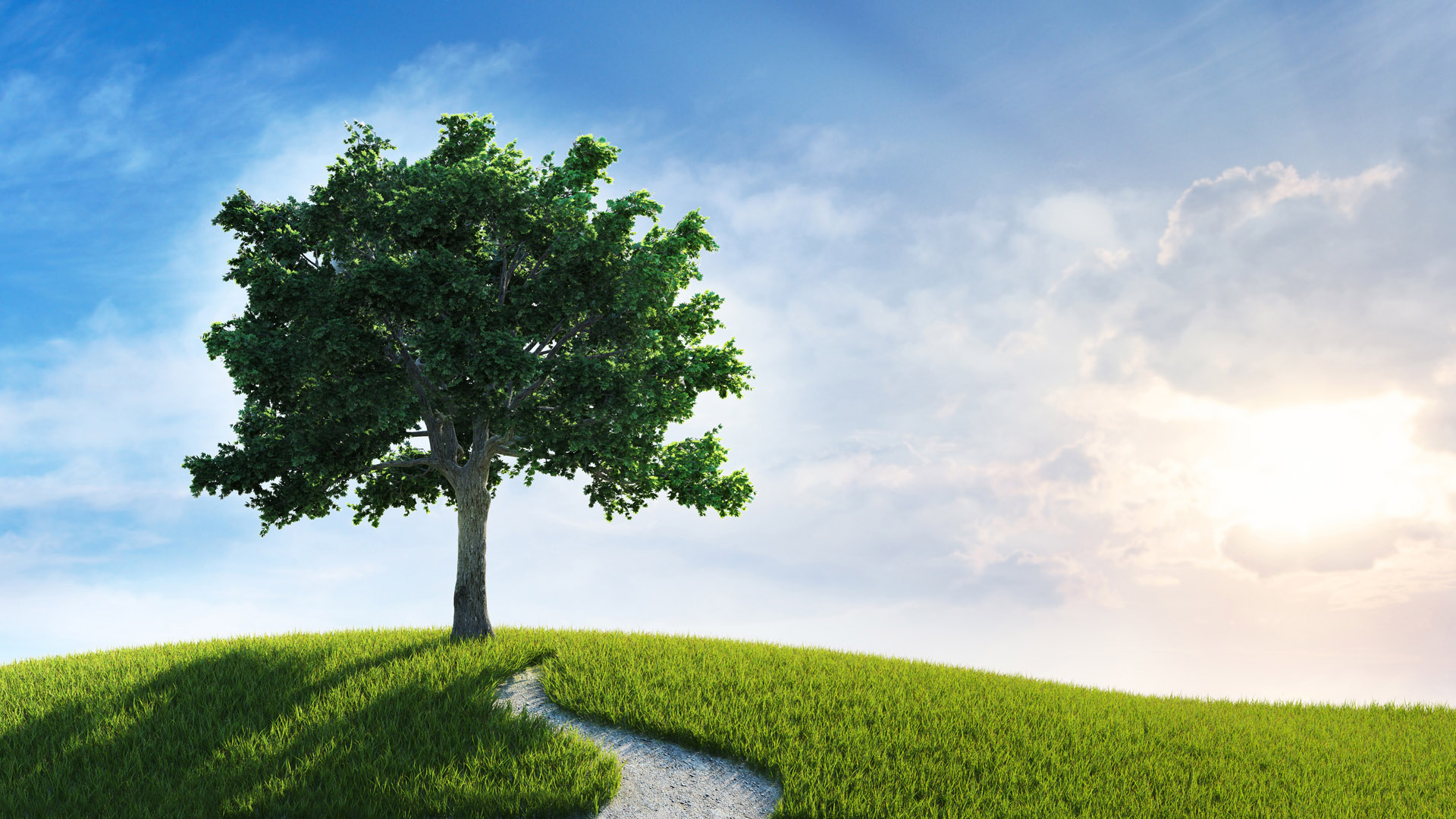 Oak Tree Farm Wallpapers - Wallpaper Cave