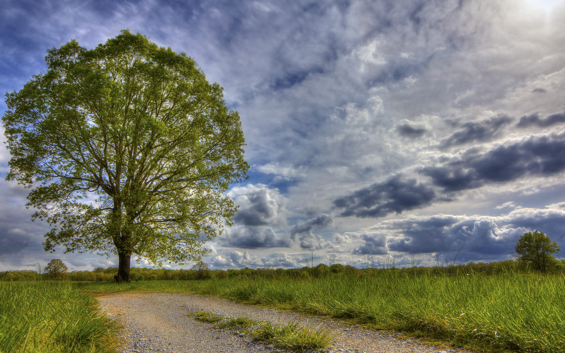 Oak Tree Farm Wallpapers - Wallpaper Cave
