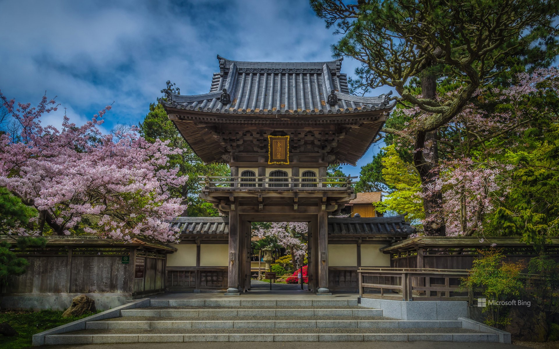 Japanese Tea Wallpapers - Wallpaper Cave