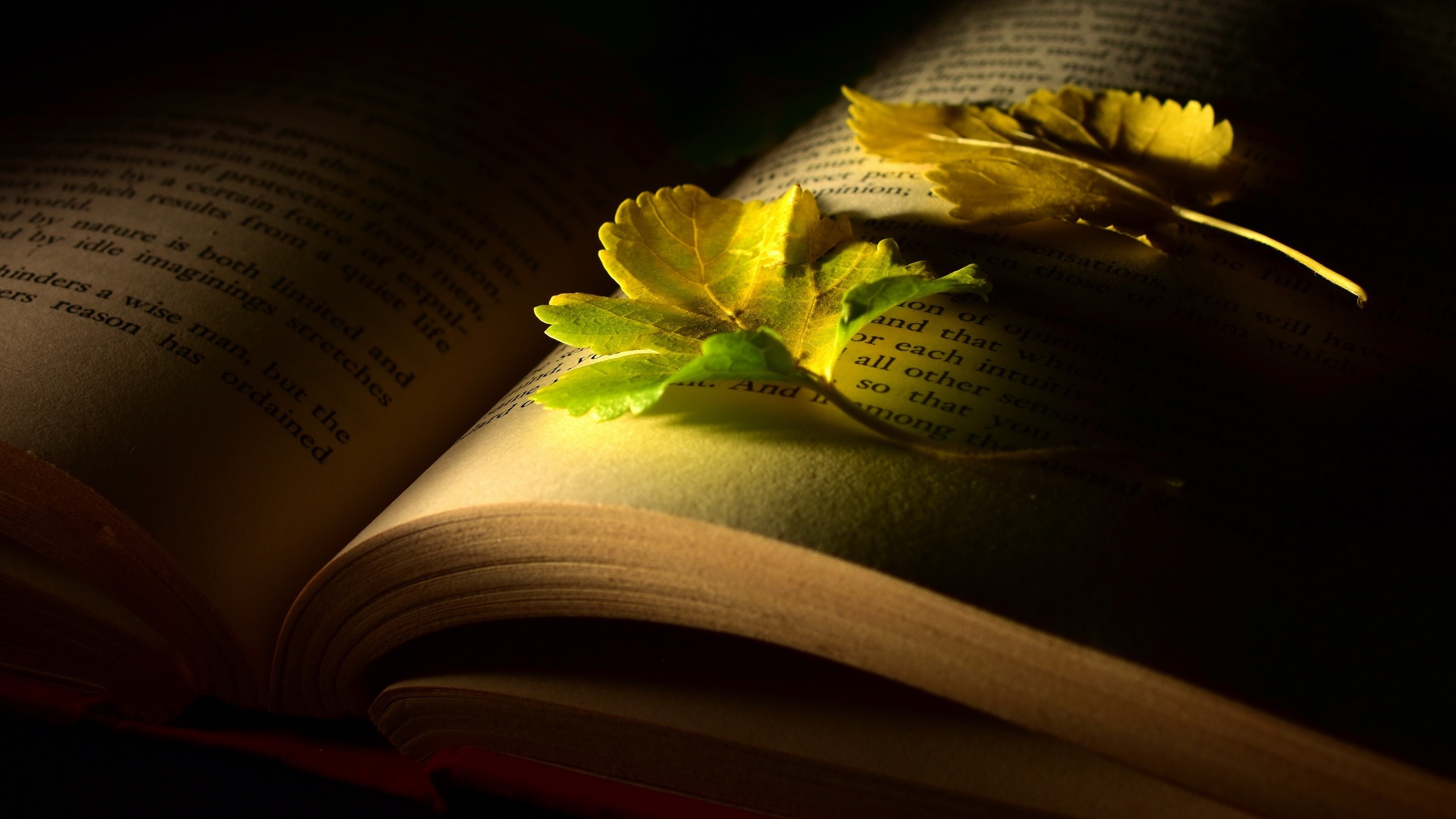 Dark Books Wallpapers - Wallpaper Cave