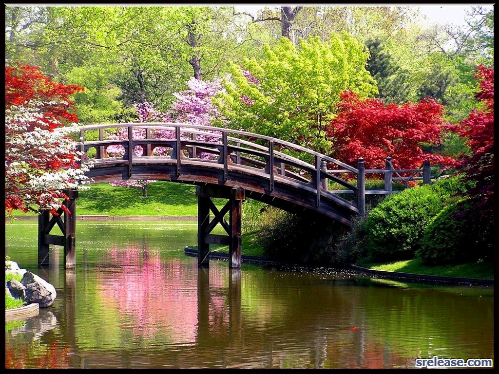 Full Screen Spring Wallpapers - Wallpaper Cave