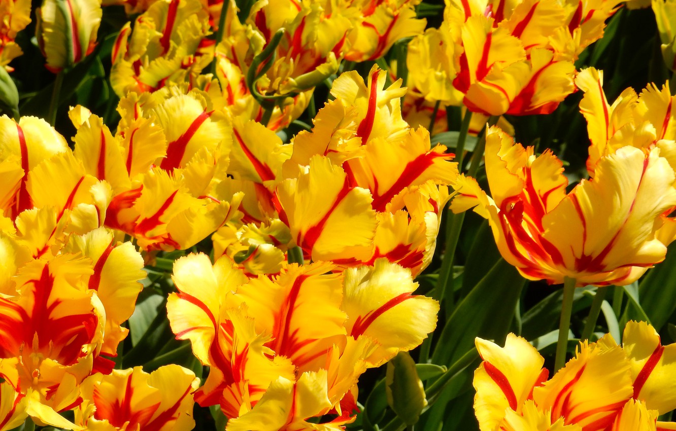 Full Screen Spring Wallpapers - Wallpaper Cave