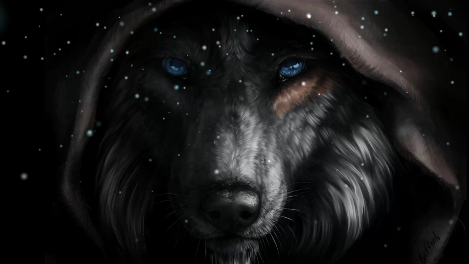 Black Wolf Anime Wallpapers - Wallpaper Cave